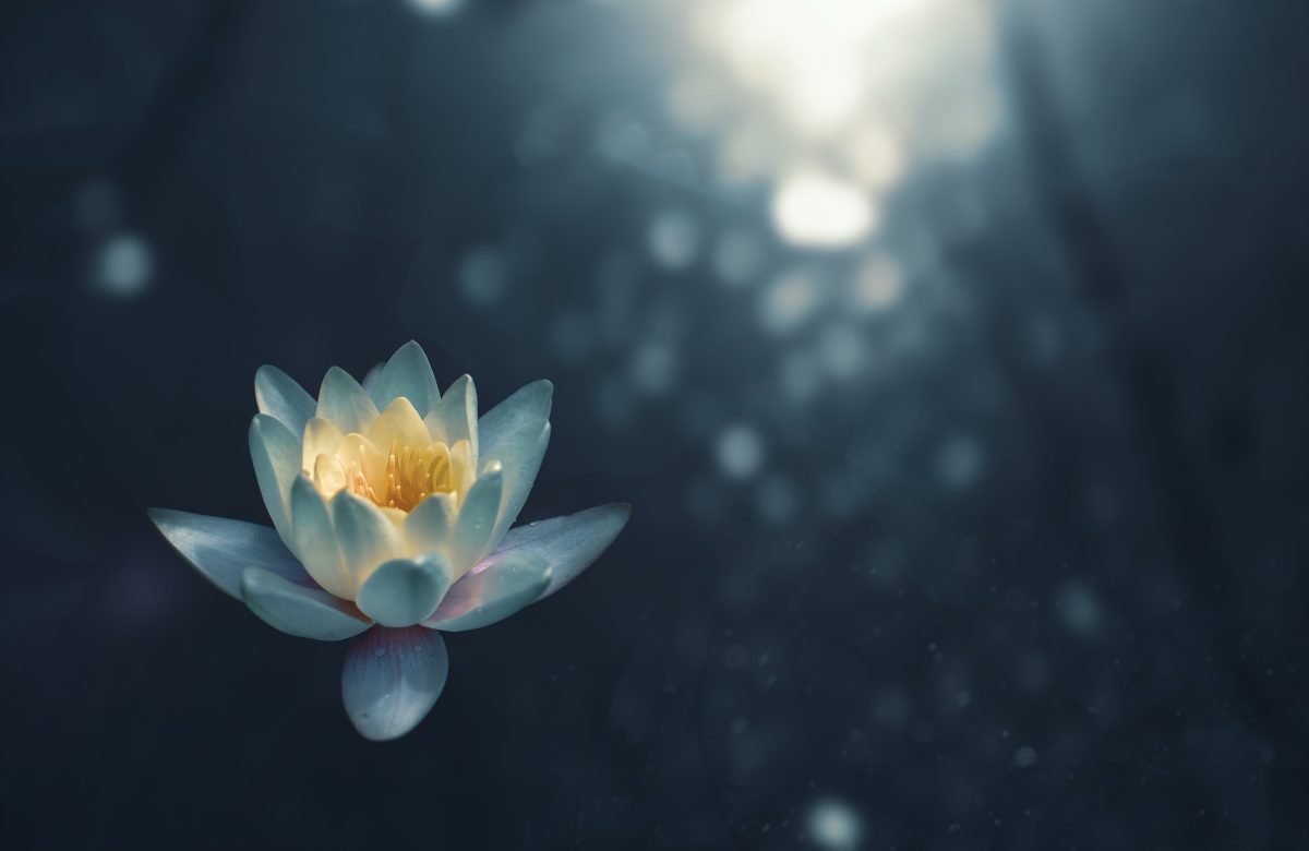 Samadhi Pada and Sadhana Pada: What Patanjali teaches us in Yoga Sutras ...
